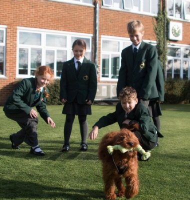 Connaught Junior School - Home